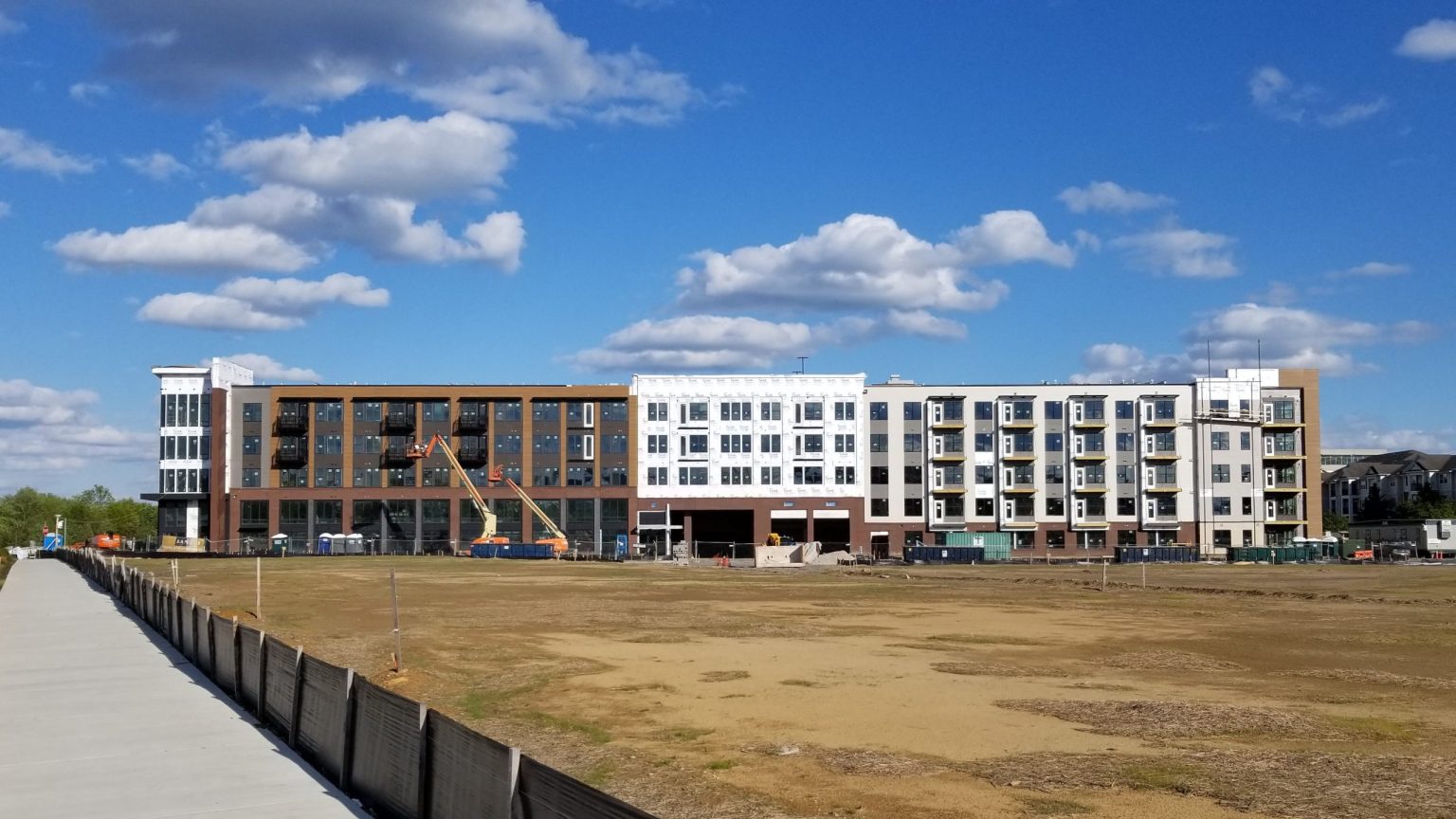 The Ian | Eastern Applicators